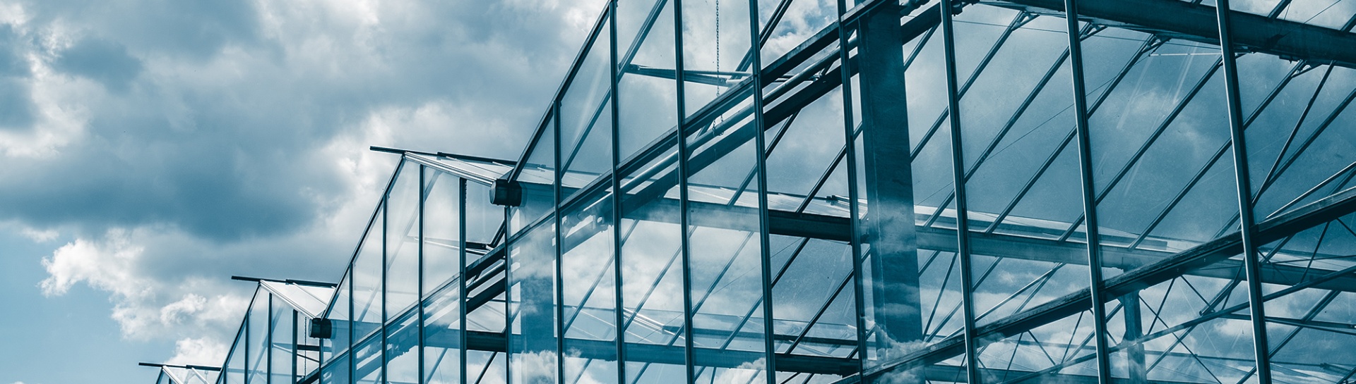 About Us | GCM Consultants